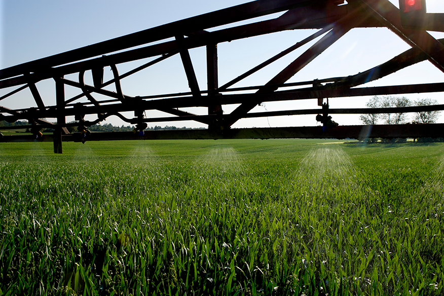 Fertilizer and crop protection